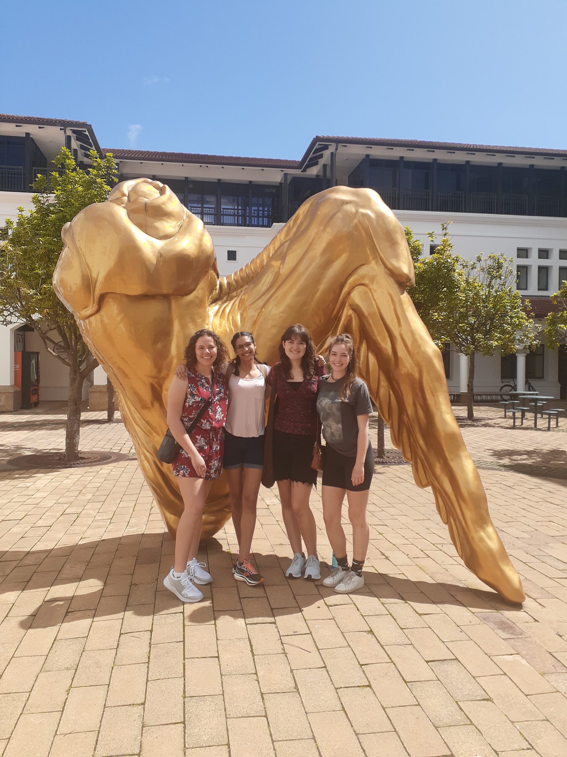 Who We Are – Research VIP