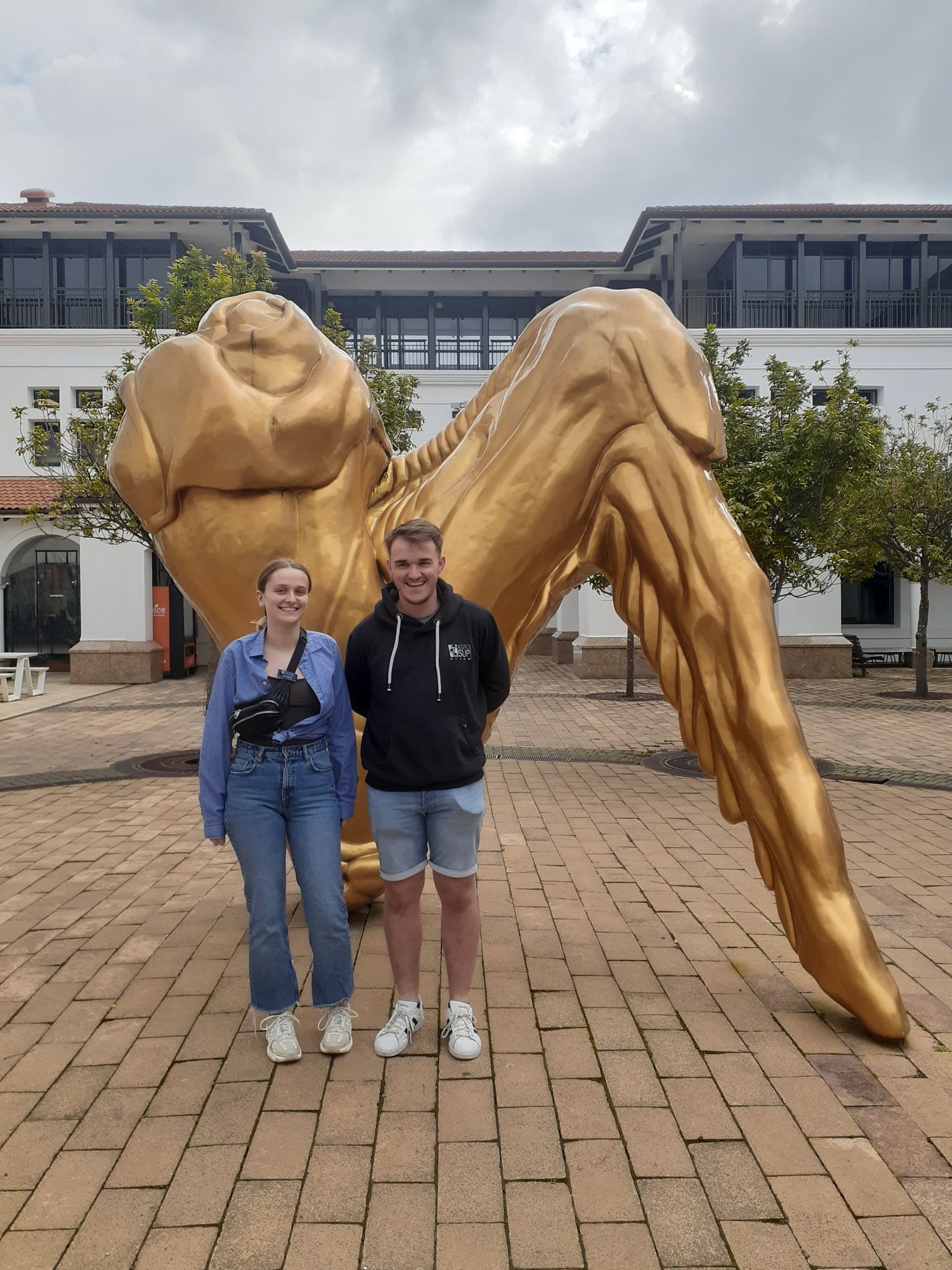 Who We Are – Research VIP